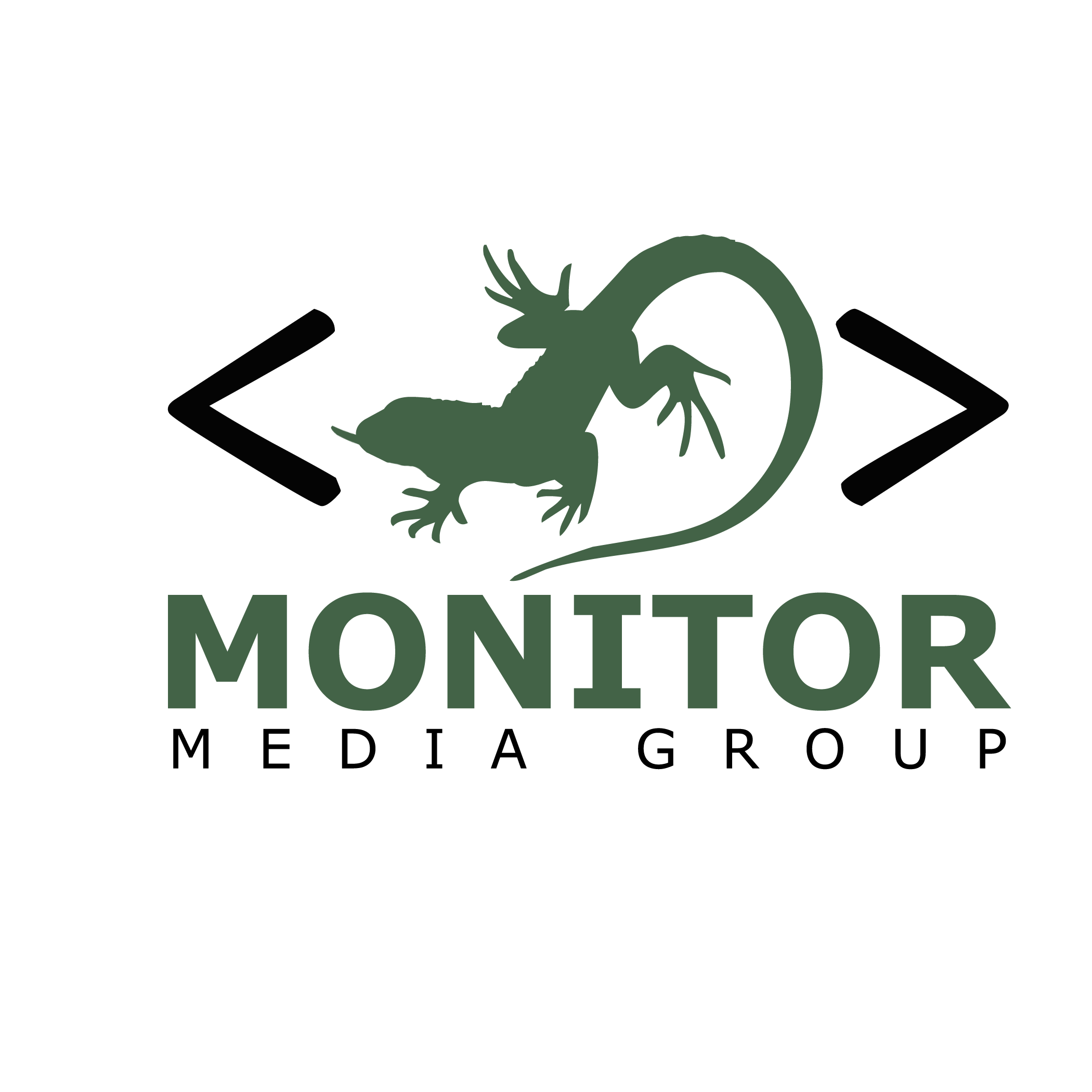 Monitor Media Group - Web Design and Digital Marketing