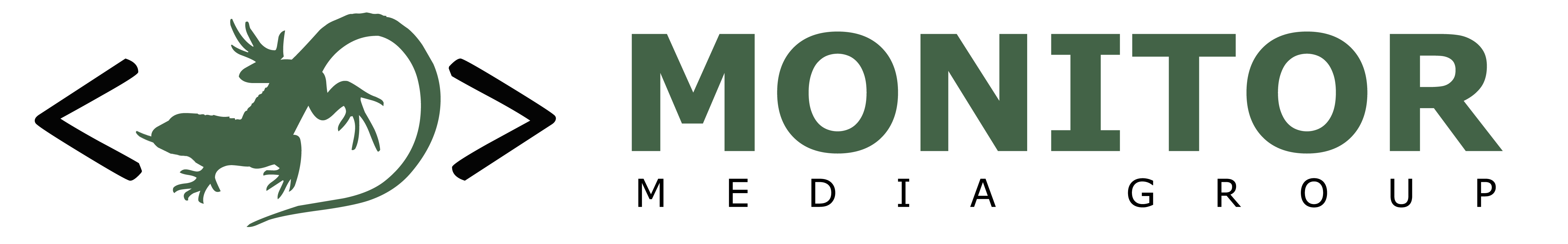 Media Monitors Logo